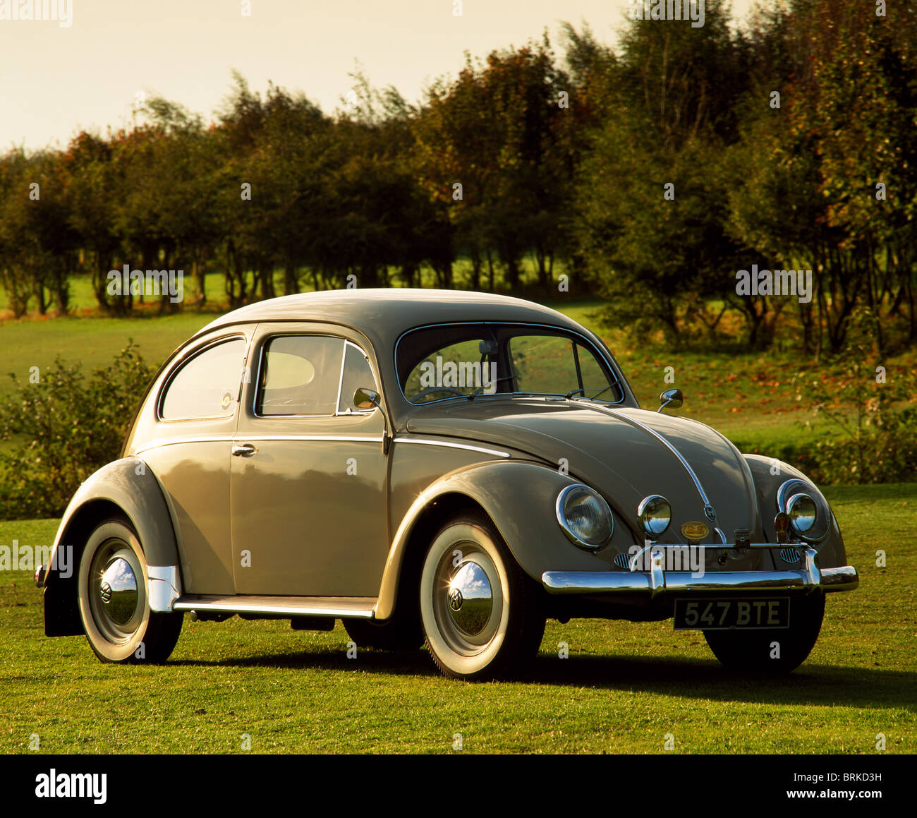1956 volkswagen beetle hi-res stock photography and images - Alamy