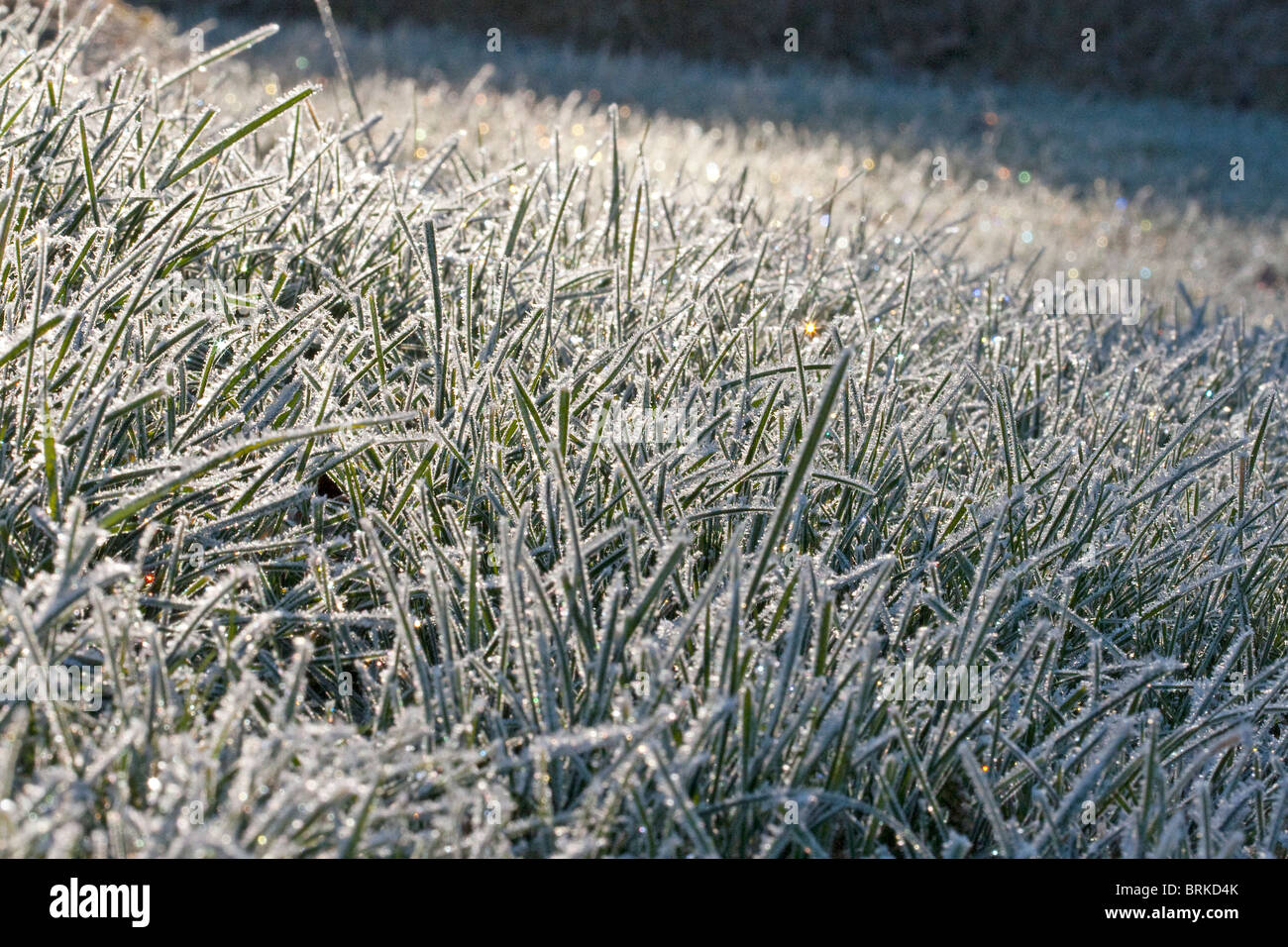 Abstract frost designs on grass in winter Stock Photo - Alamy