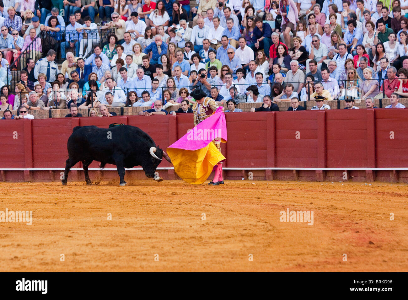 matador and bull in bull fighting scene in sevilla, spain Stock Photo ...