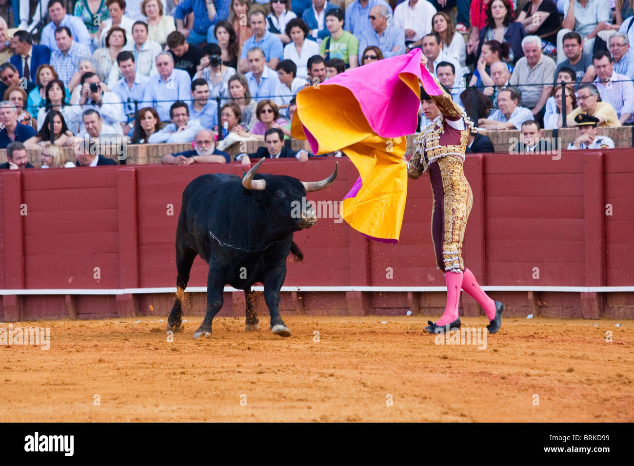 matador and bull in bull fighting scene in sevilla, spain Stock Photo ...