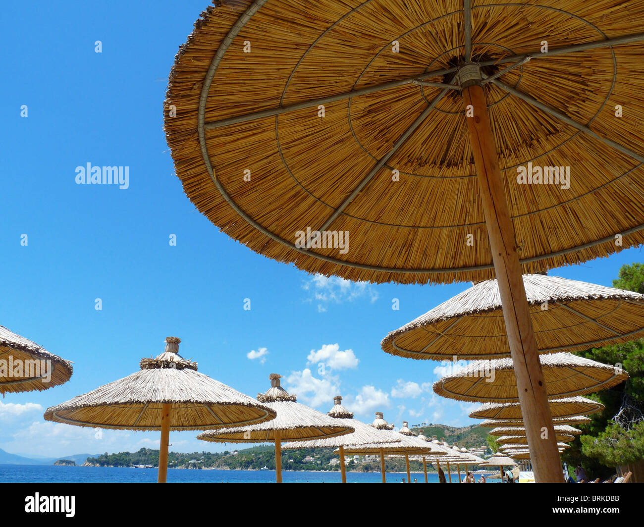 Beach umbrellas at Vromolimnos beach, Skiathos, Greece Stock Photo - Alamy