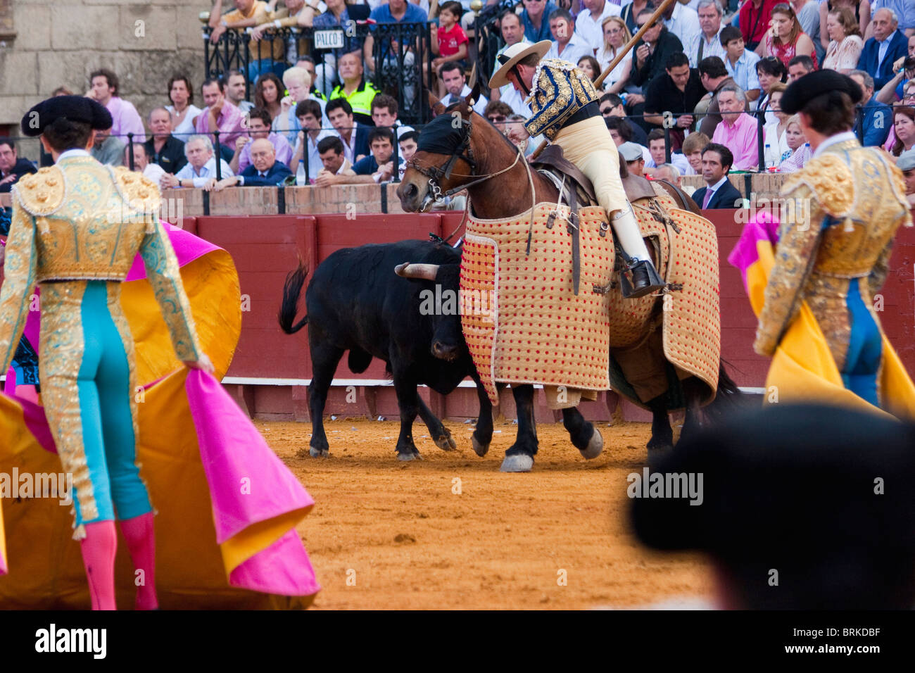 Bull fighting horse hi-res stock photography and images - Alamy