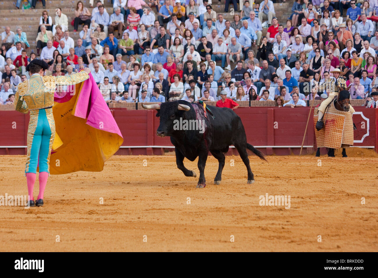 matador and bull in bull fighting scene in sevilla, spain Stock Photo ...