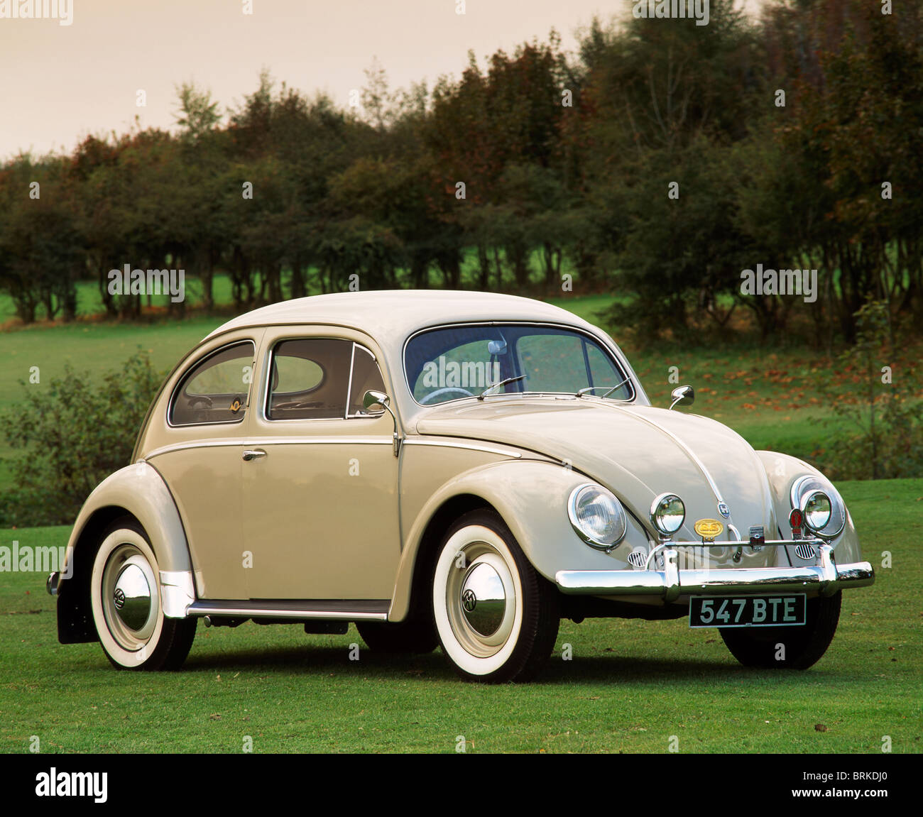 1956 Volkswagen Beetle parked in countryside Stock Photo - Alamy