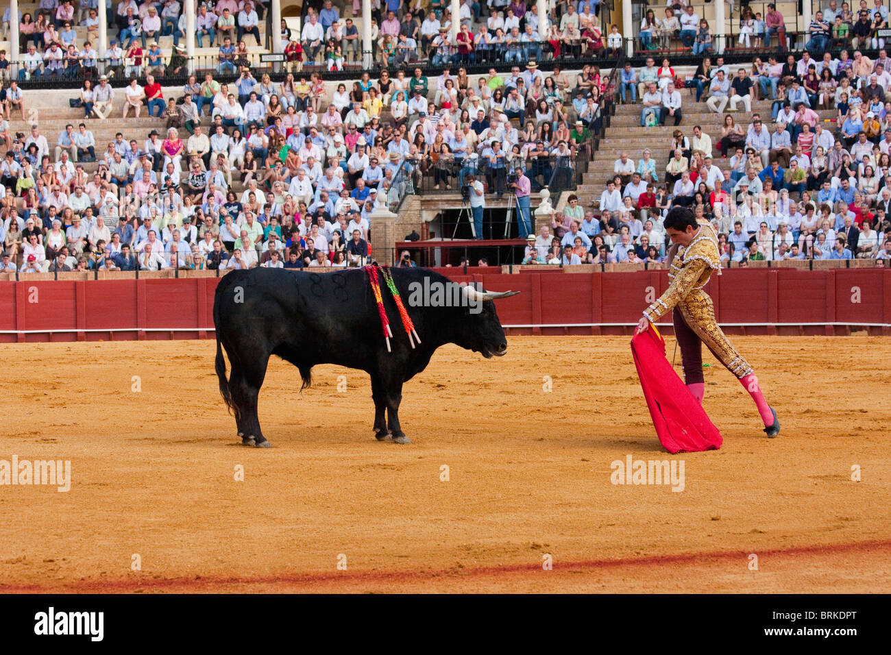 matador in bull fighting scene in sevilla, spain Stock Photo - Alamy
