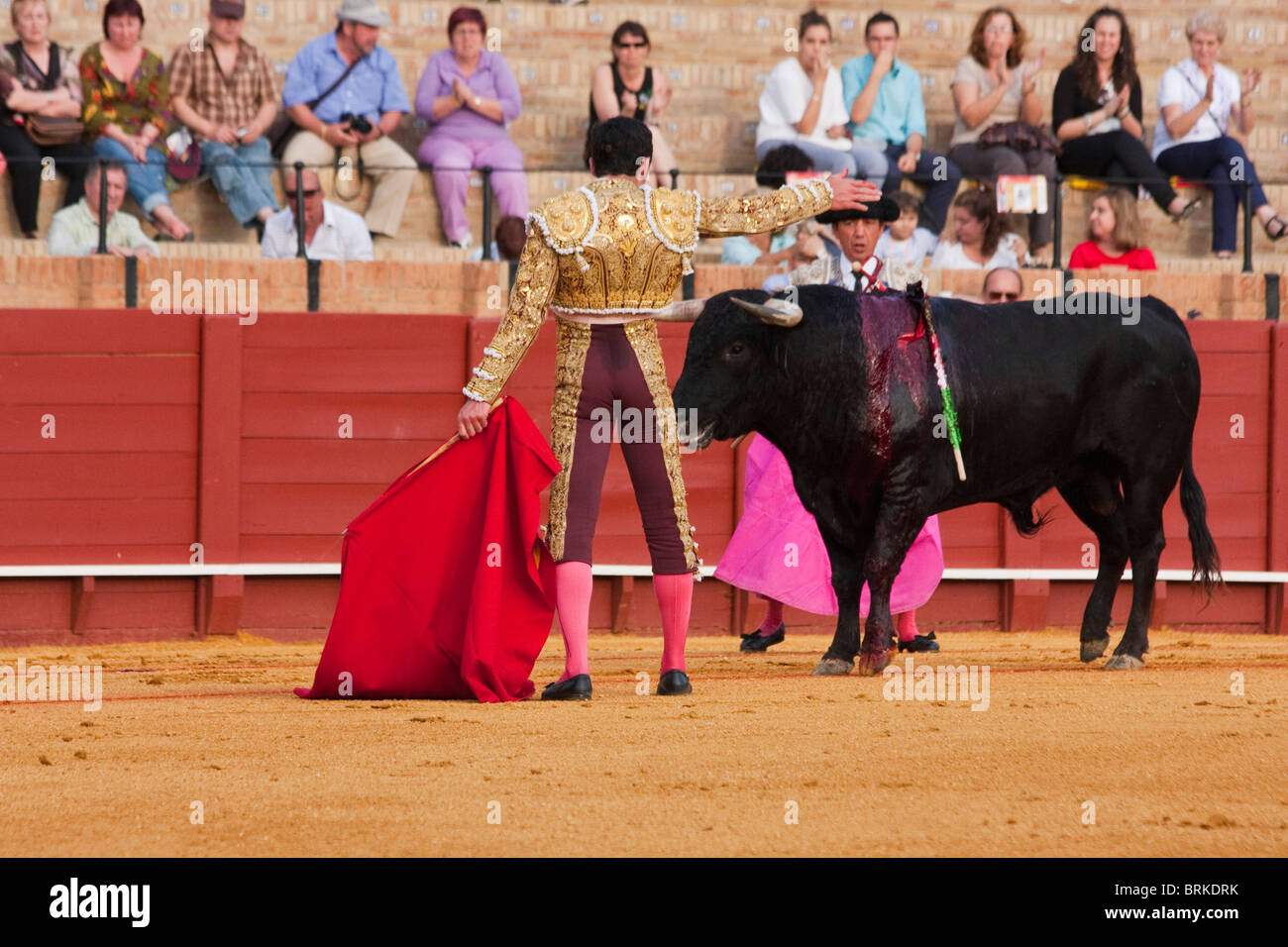 Bleeding bull hi-res stock photography and images - Alamy