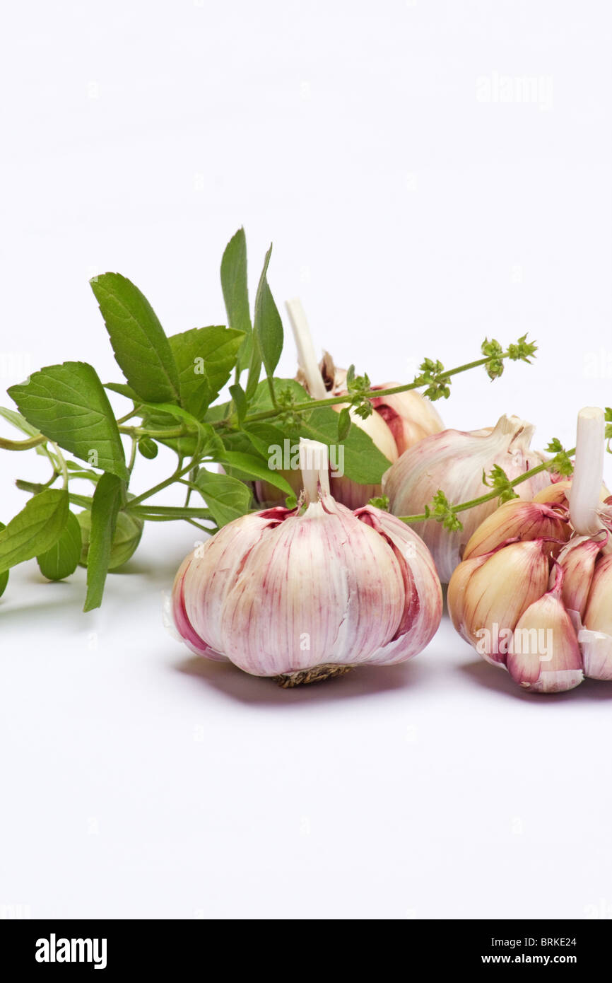 Garlic and basil on white background Stock Photo - Alamy