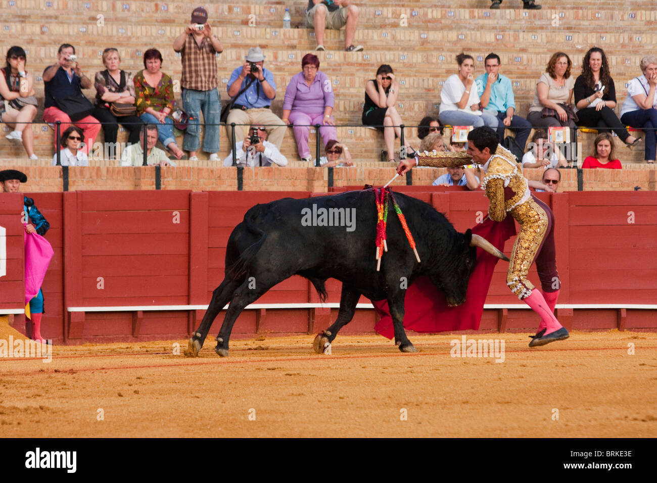matador and bull in bull fighting scene in sevilla, spain Stock Photo ...
