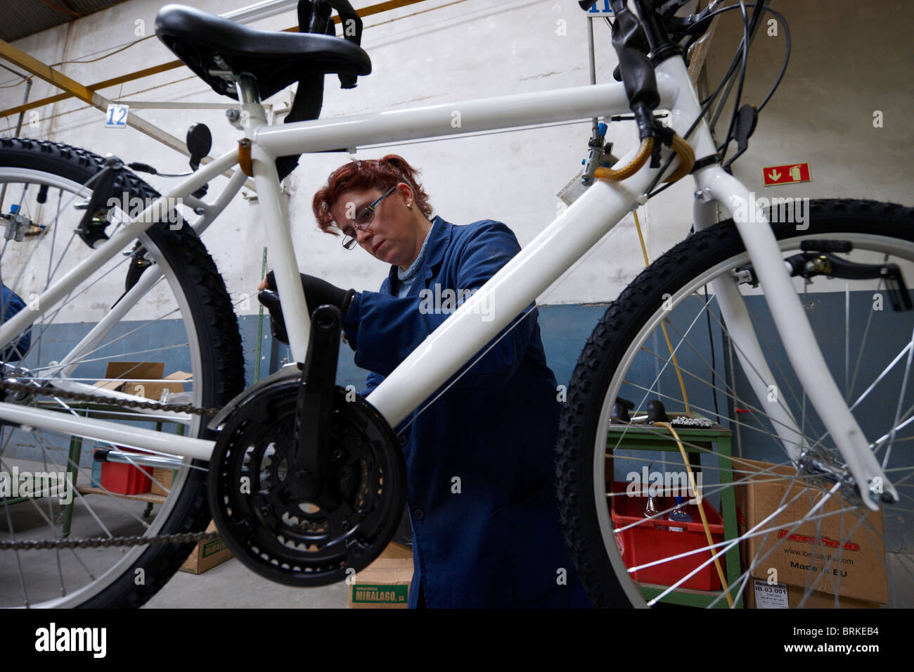 Worker at the assembly line of a bicycle factory Stock Photo - Alamy