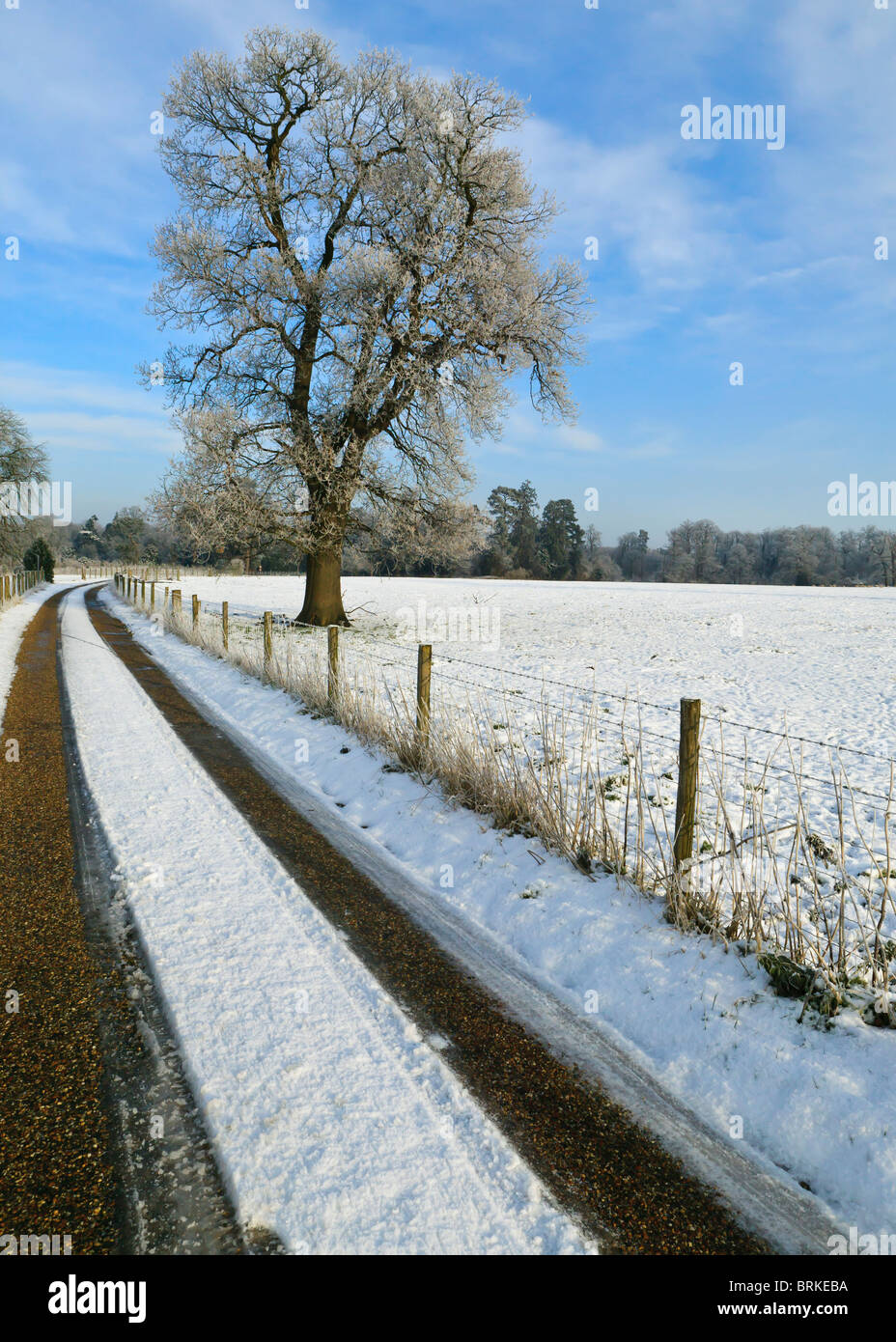 Winter in rural Herfordshire, England Stock Photo - Alamy