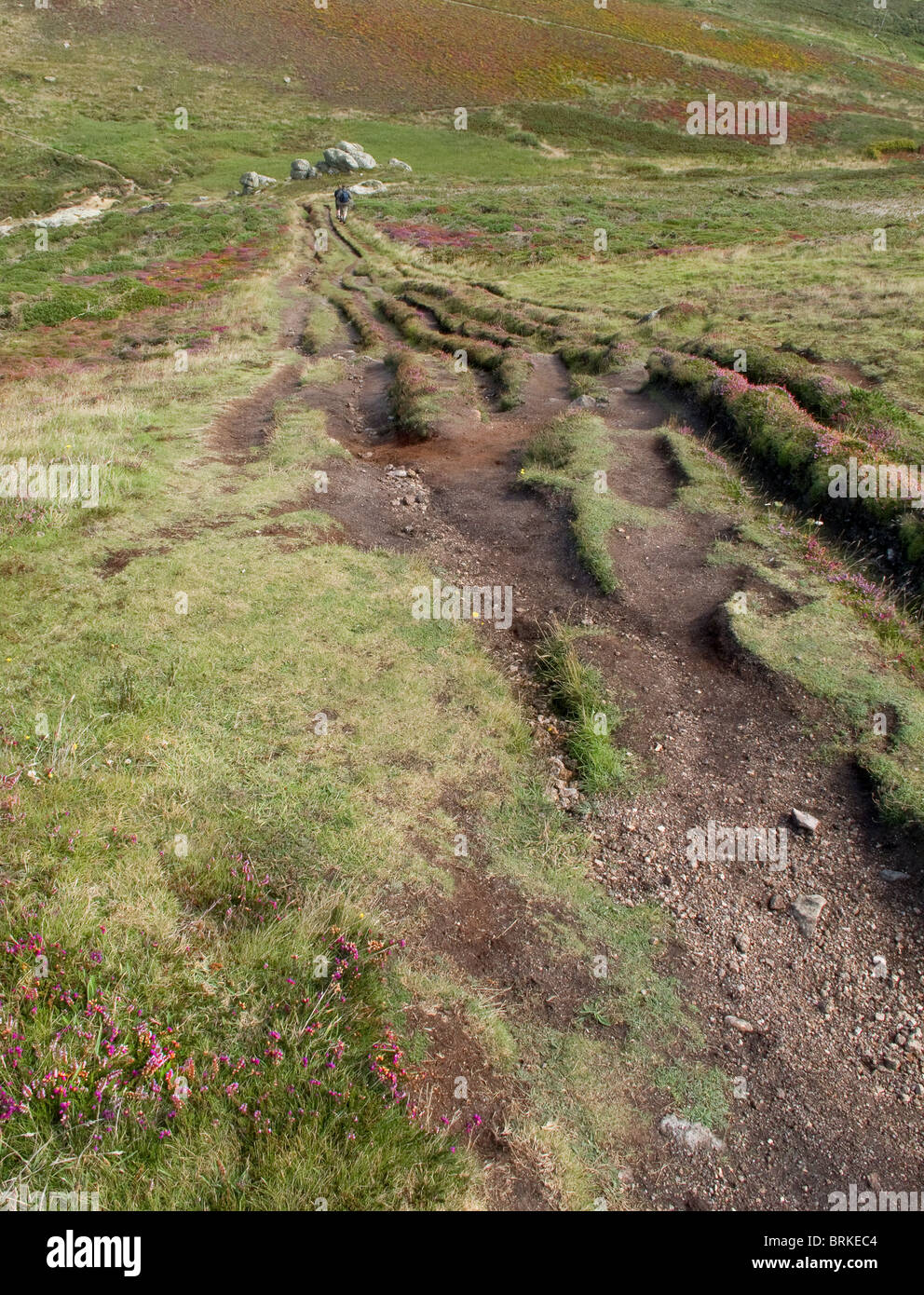 The South West Coastal Path in Cornwall damaged by soil erosion Stock ...