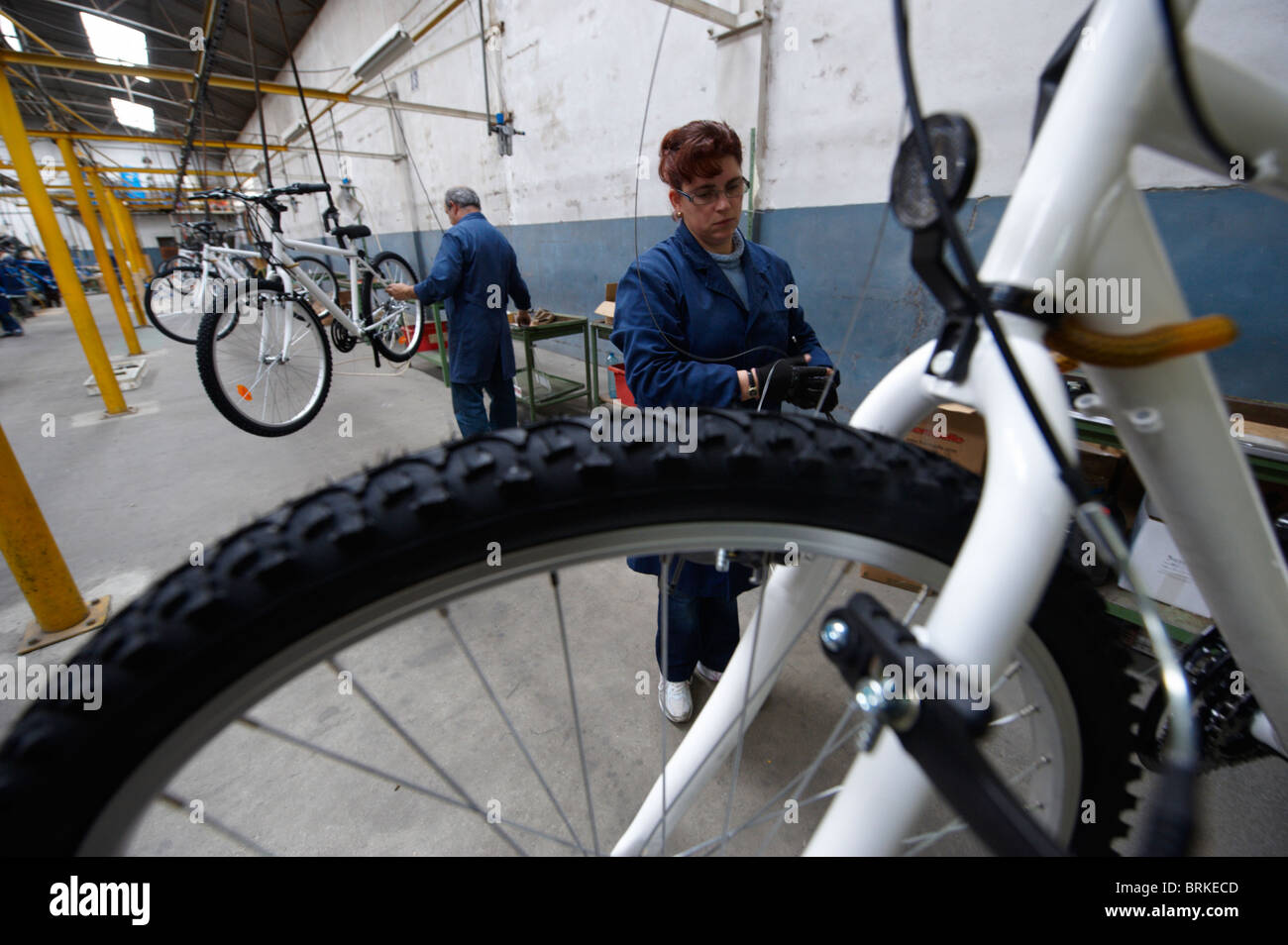 Workers at the assembly line of a bicycle factory Stock Photo - Alamy