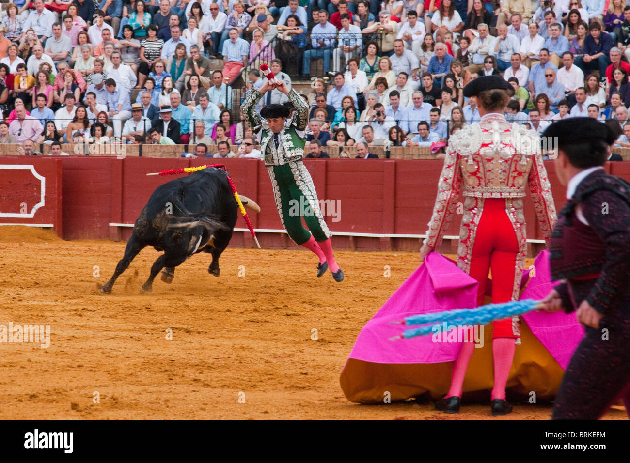 Fighting bull banderillas hi-res stock photography and images - Alamy