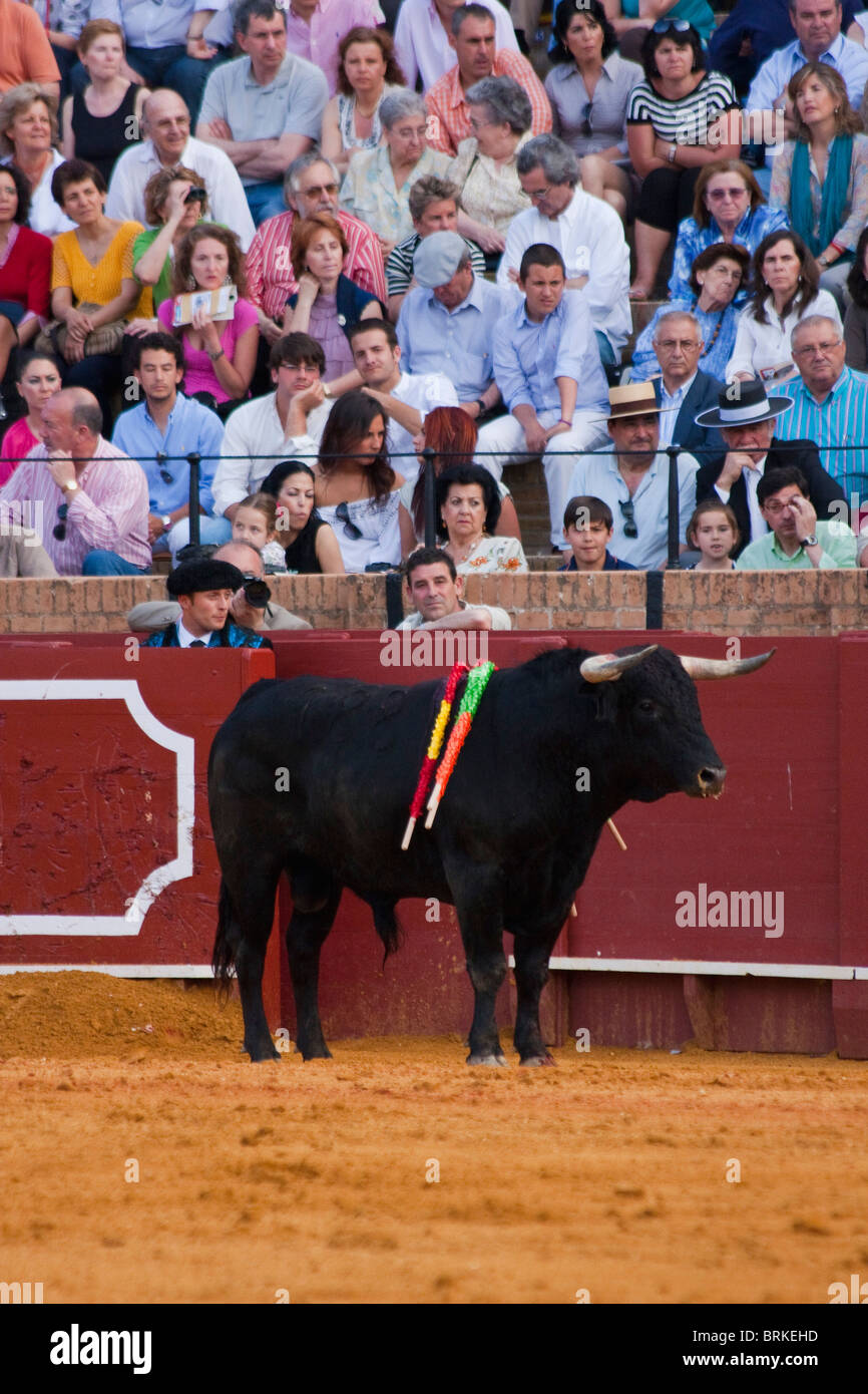 Tercio De Banderillas High Resolution Stock Photography and Images - Alamy