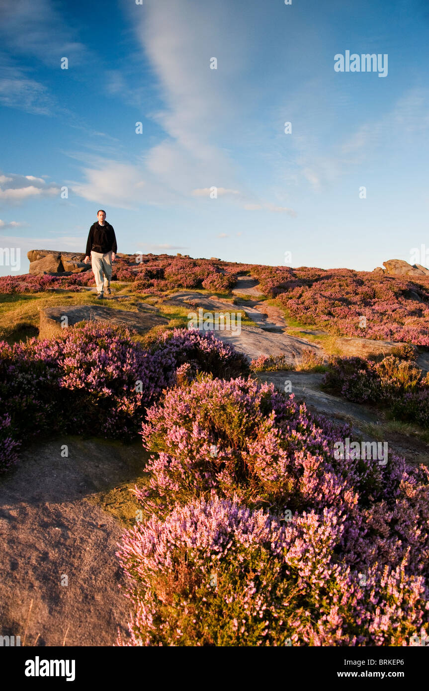 A walker on top of Burbage Rocks, strolling along Burbage Moor on a ...