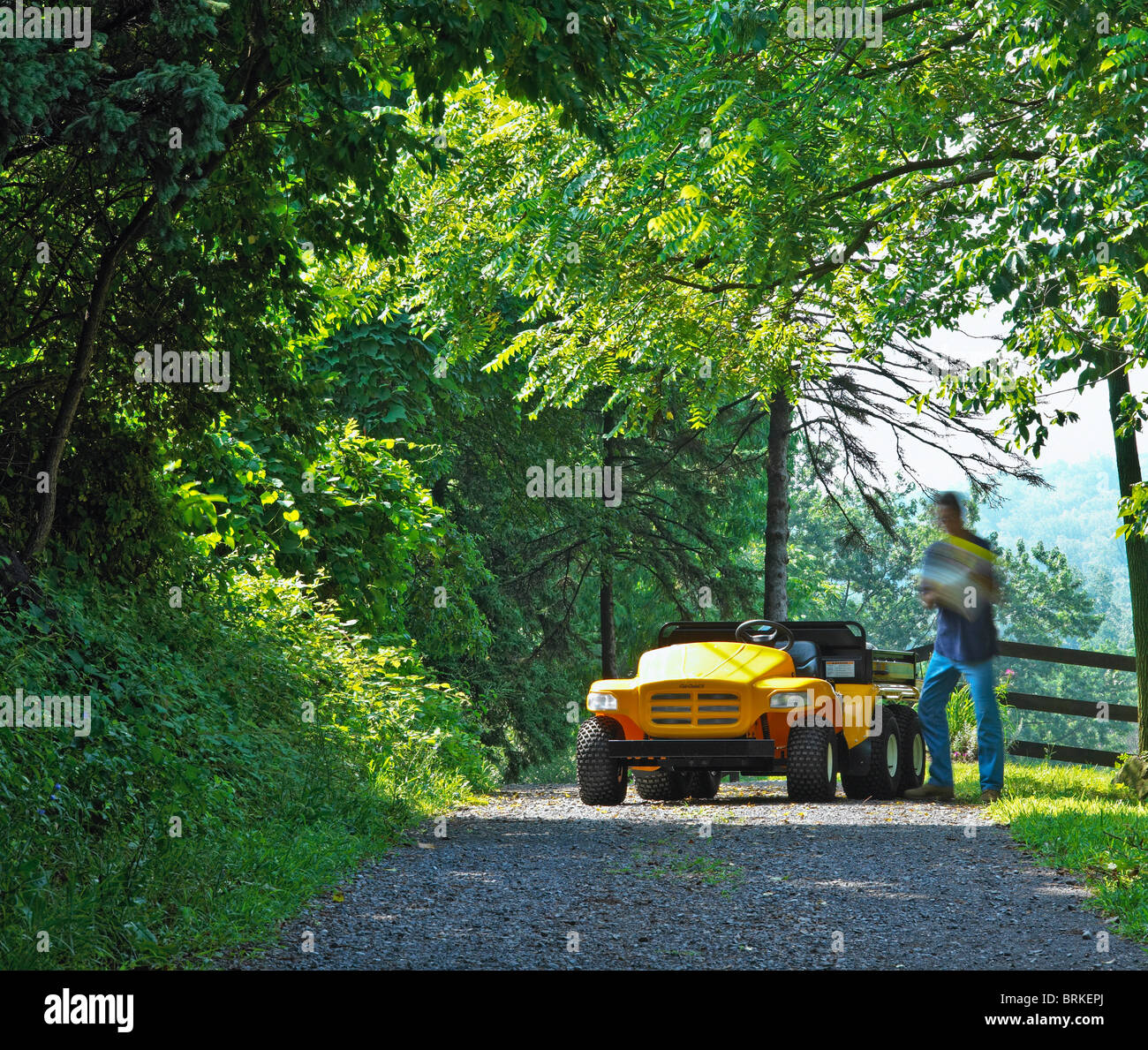 Yellow cub cadet tractor used for small chores on property Stock Photo ...
