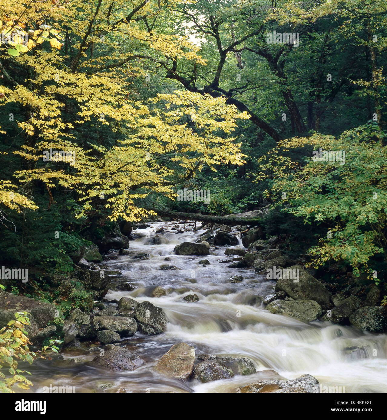 Autumn at a river in Vermont in the early fall with trees just turning ...