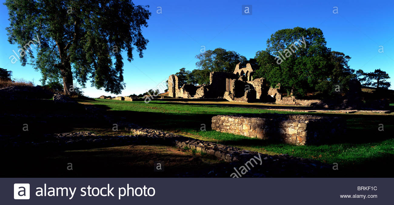 Inch Abbey High Resolution Stock Photography and Images - Alamy