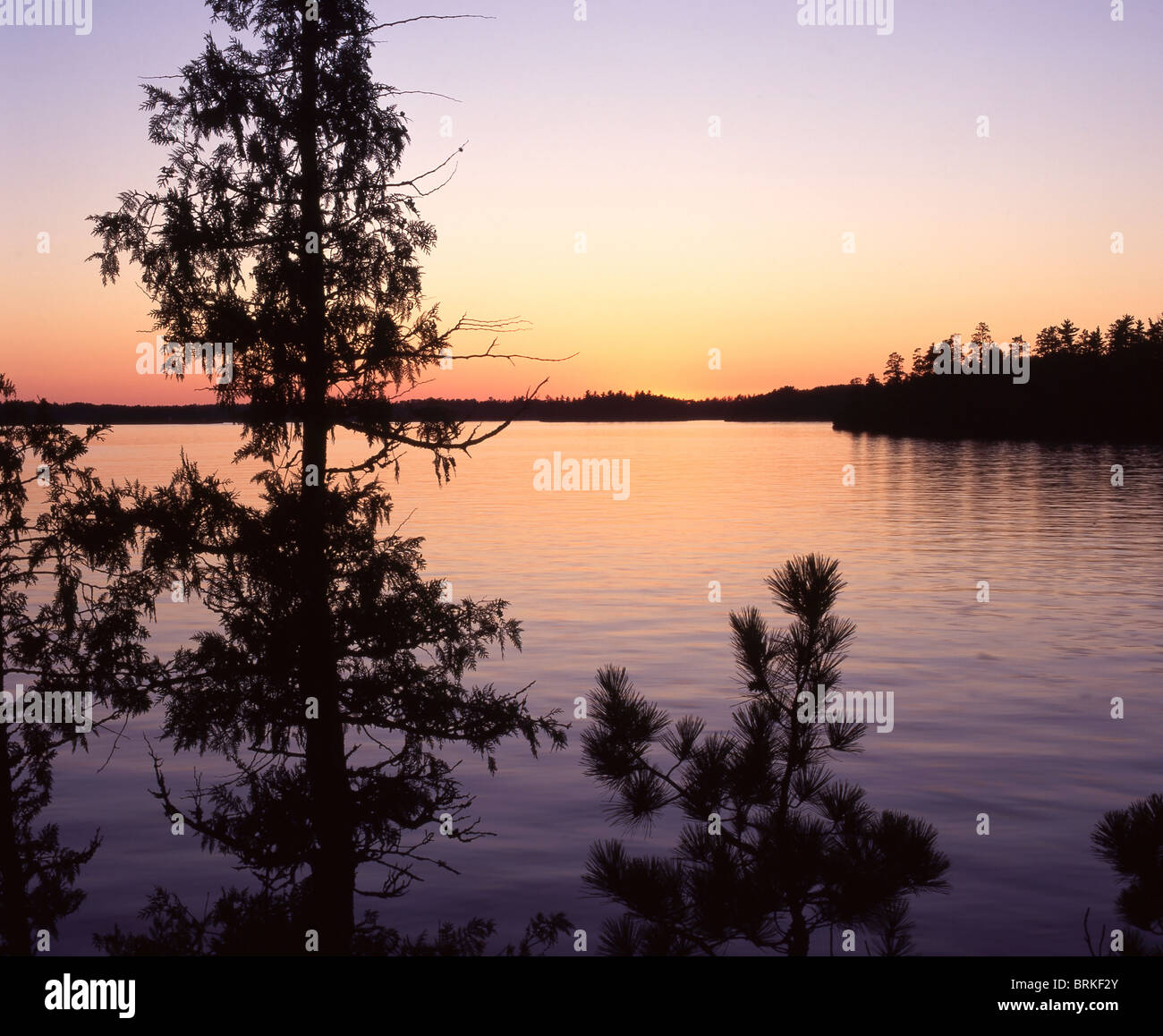 Rainy lake national part at sunset in the early summer Stock Photo - Alamy