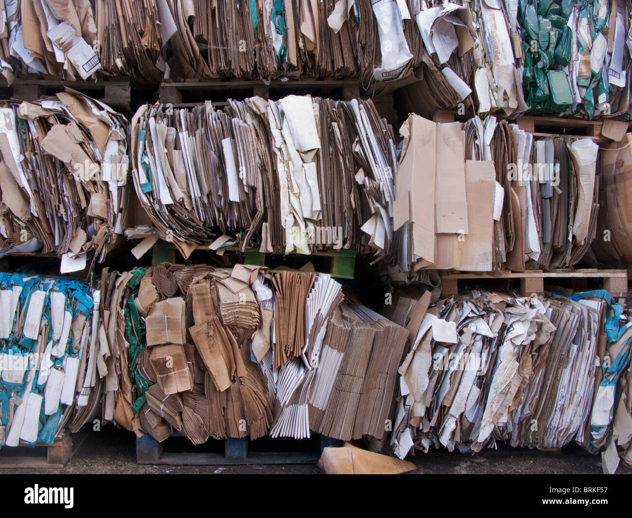 Carboard recycling hi-res stock photography and images - Alamy