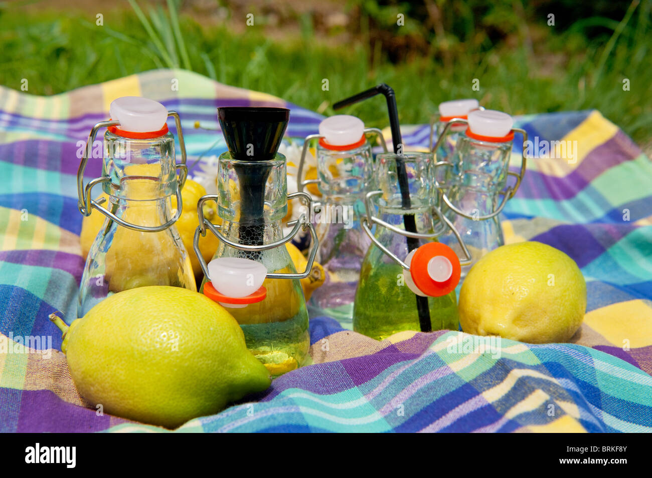 rural homemade lemonade Stock Photo - Alamy