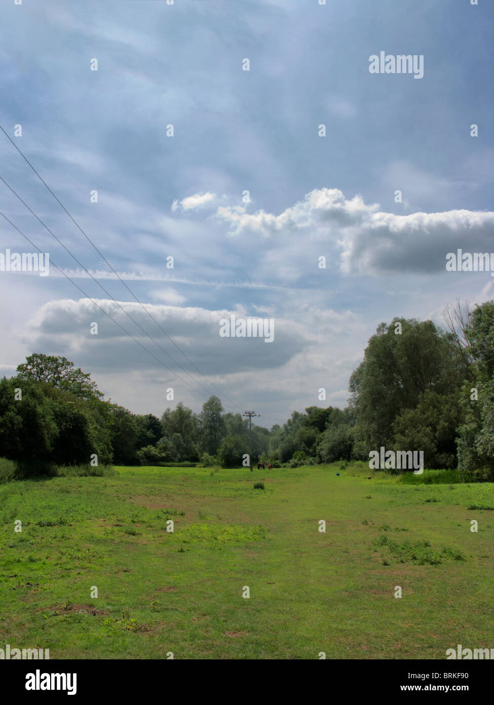 summer landscape image taken in the uk england essex Stock Photo - Alamy