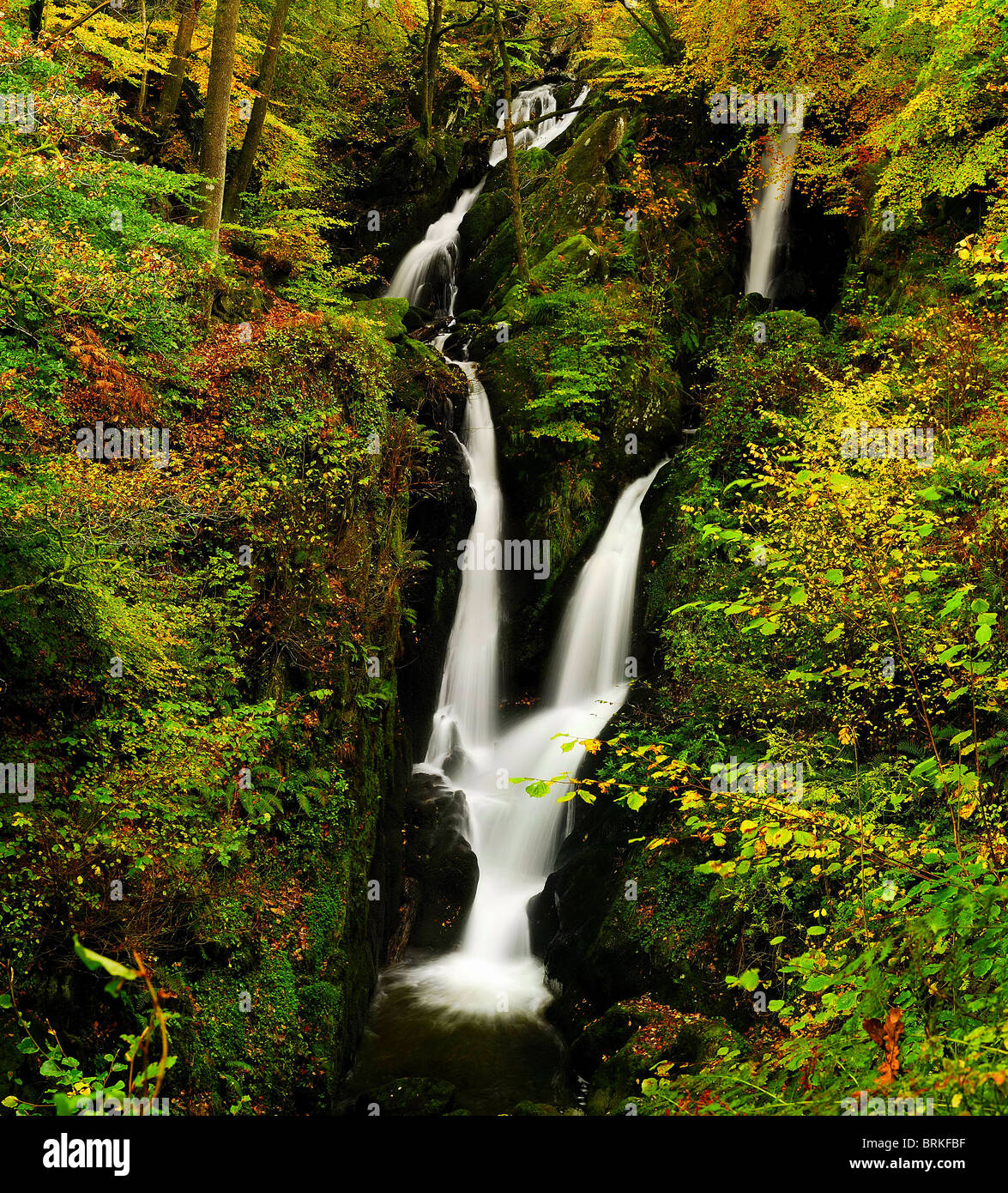 Season of the force hi-res stock photography and images - Alamy