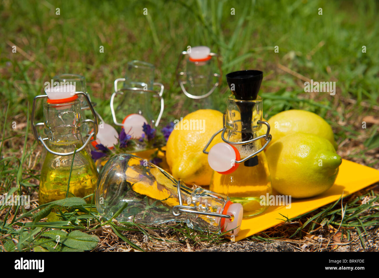 rural homemade lemonade Stock Photo - Alamy