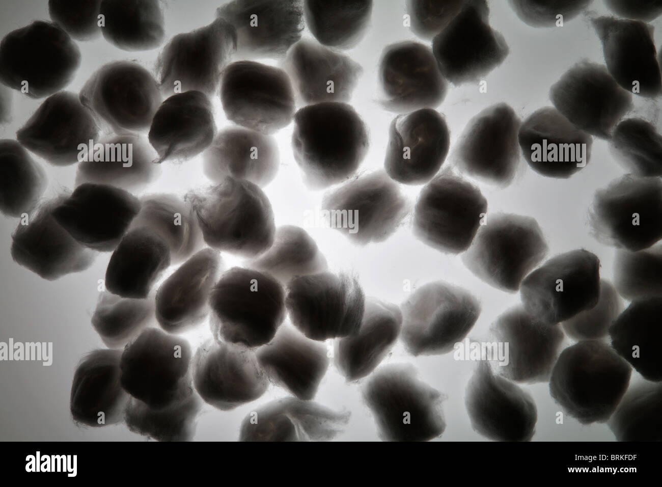 cotton wool balls on white background Stock Photo - Alamy