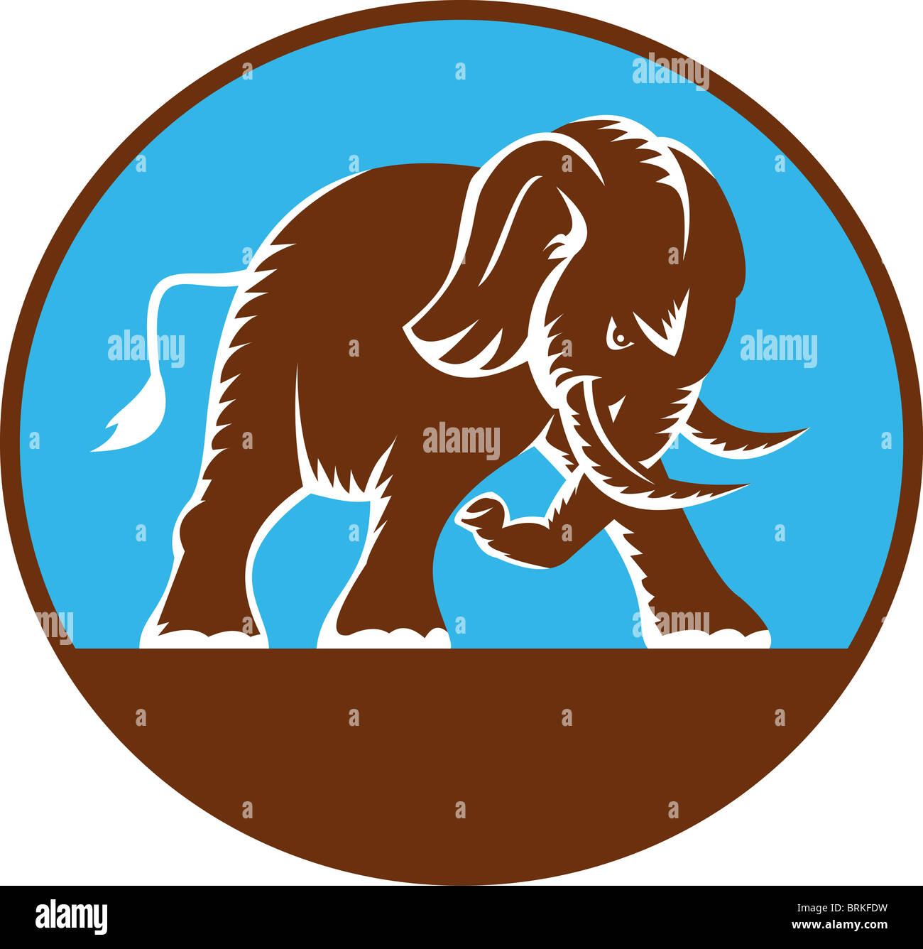 Elephant attacking hi-res stock photography and images - Alamy
