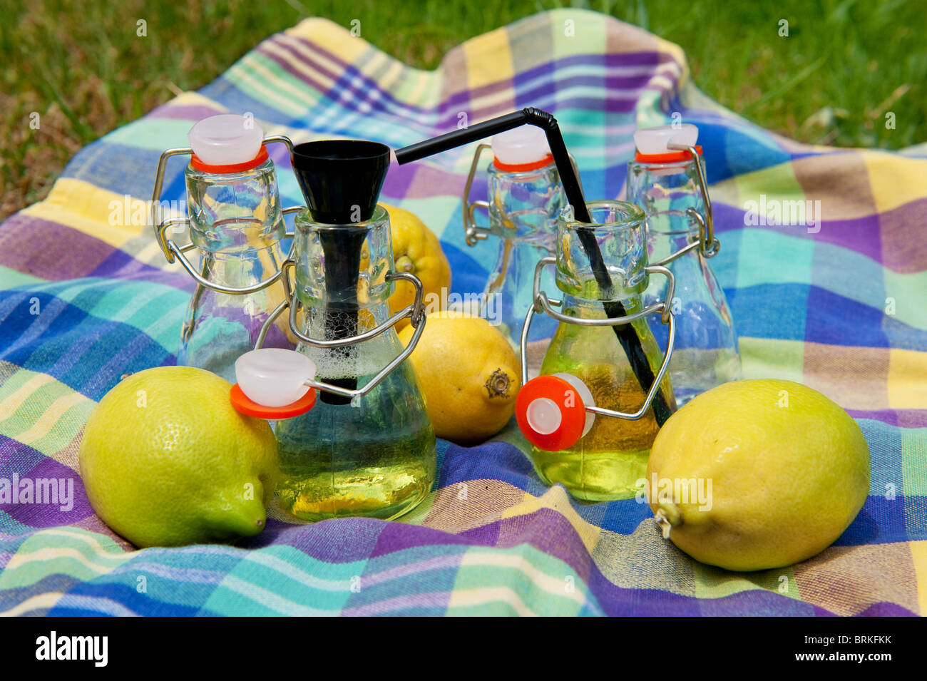 rural homemade lemonade Stock Photo - Alamy