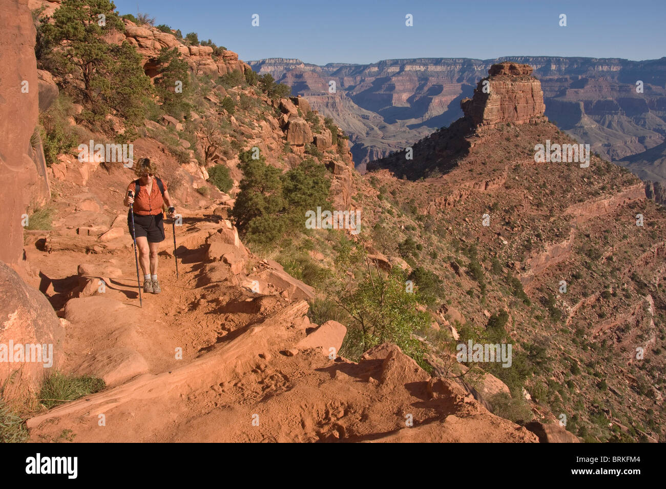 Red butte kaibab hi-res stock photography and images - Alamy