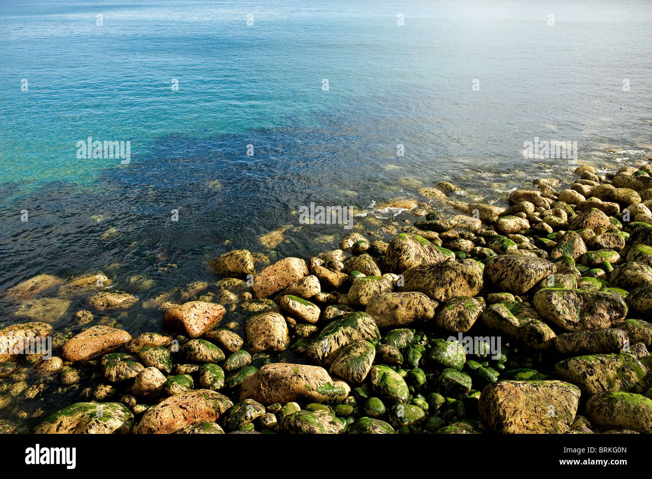 Seaweed low tide hi-res stock photography and images - Alamy