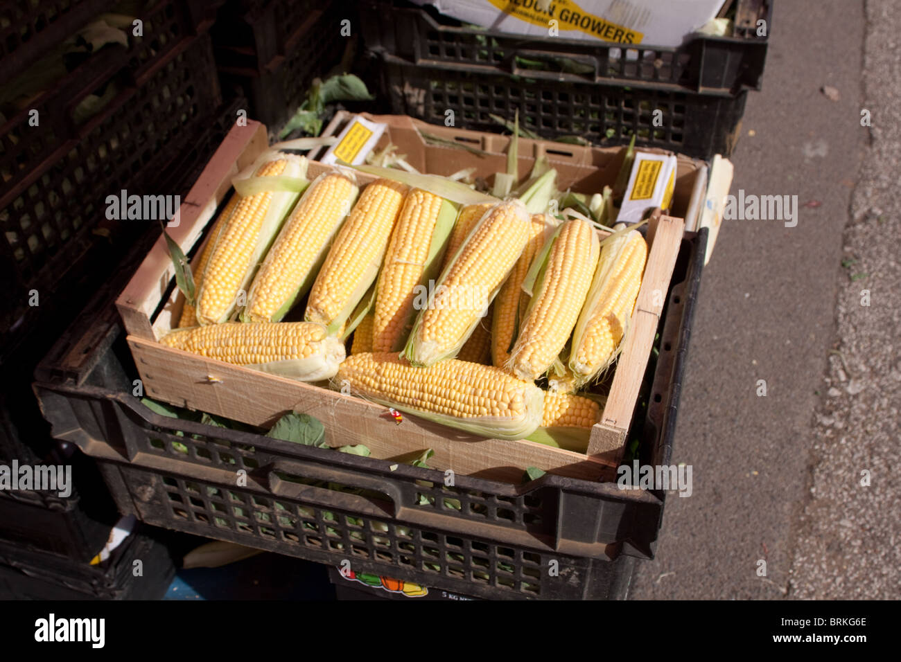 Box of Sweetcorn Stock Photo - Alamy