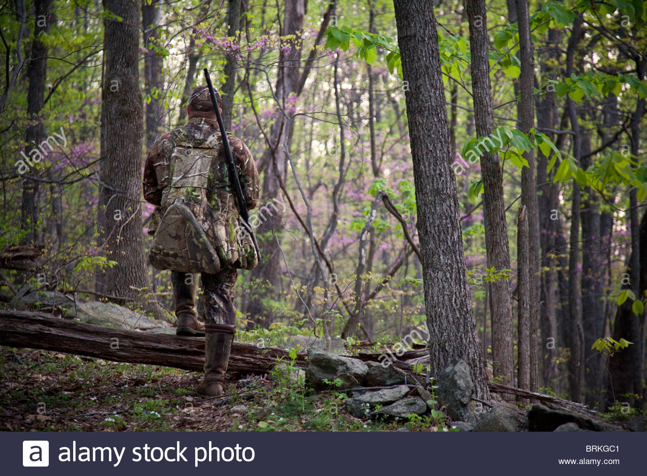 Early Man Hunting Stock Photos & Early Man Hunting Stock Images - Alamy