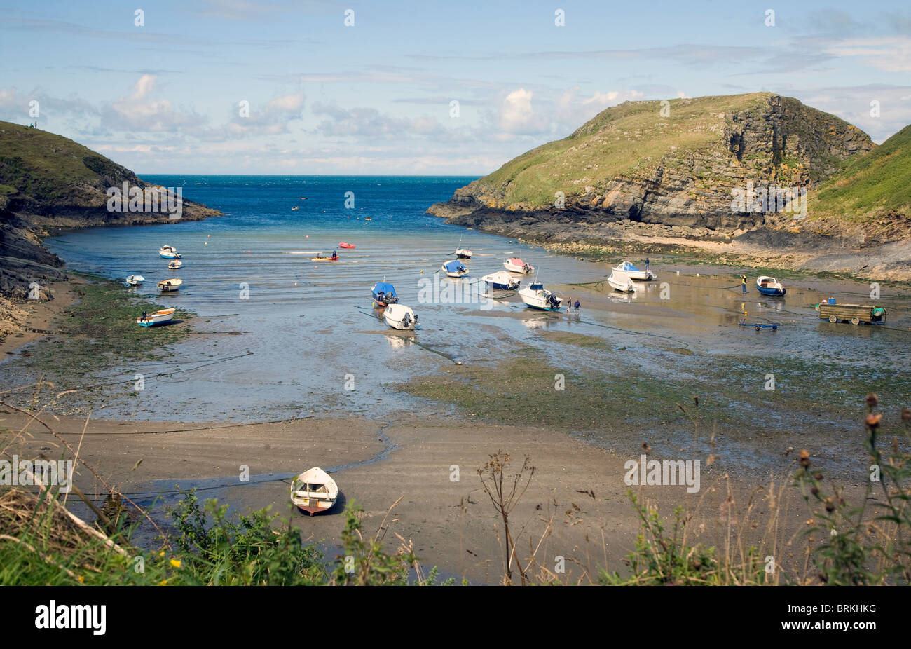 Abercastle bay, Pembrokeshire coast, Wales Stock Photo - Alamy