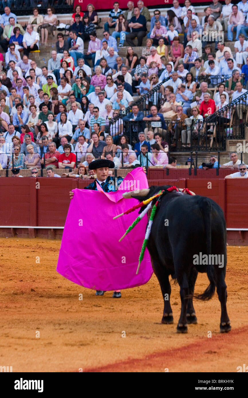 Seville spain matador arena hi-res stock photography and images - Alamy