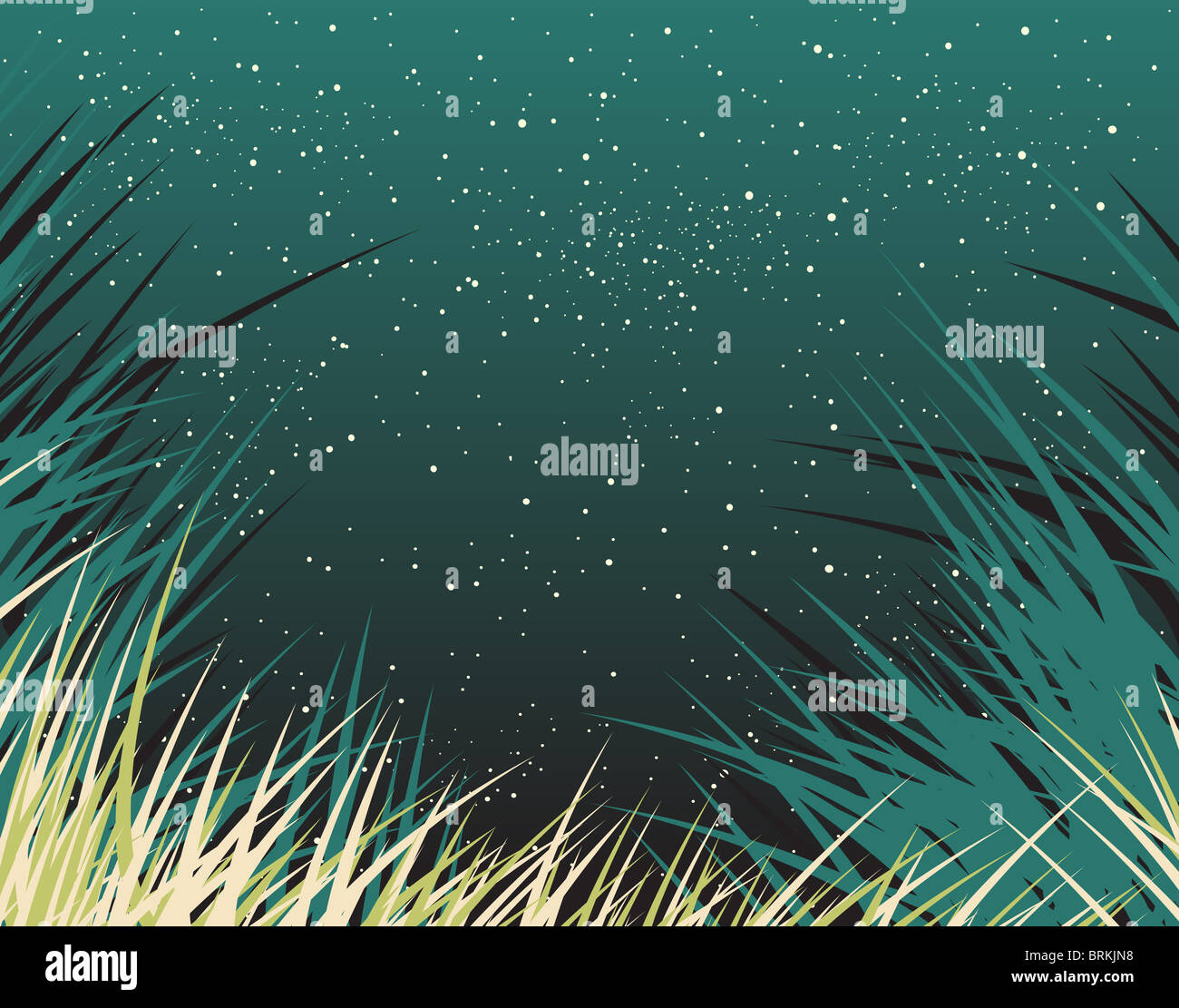 Illustrated background of grass and stars at night Stock Photo - Alamy