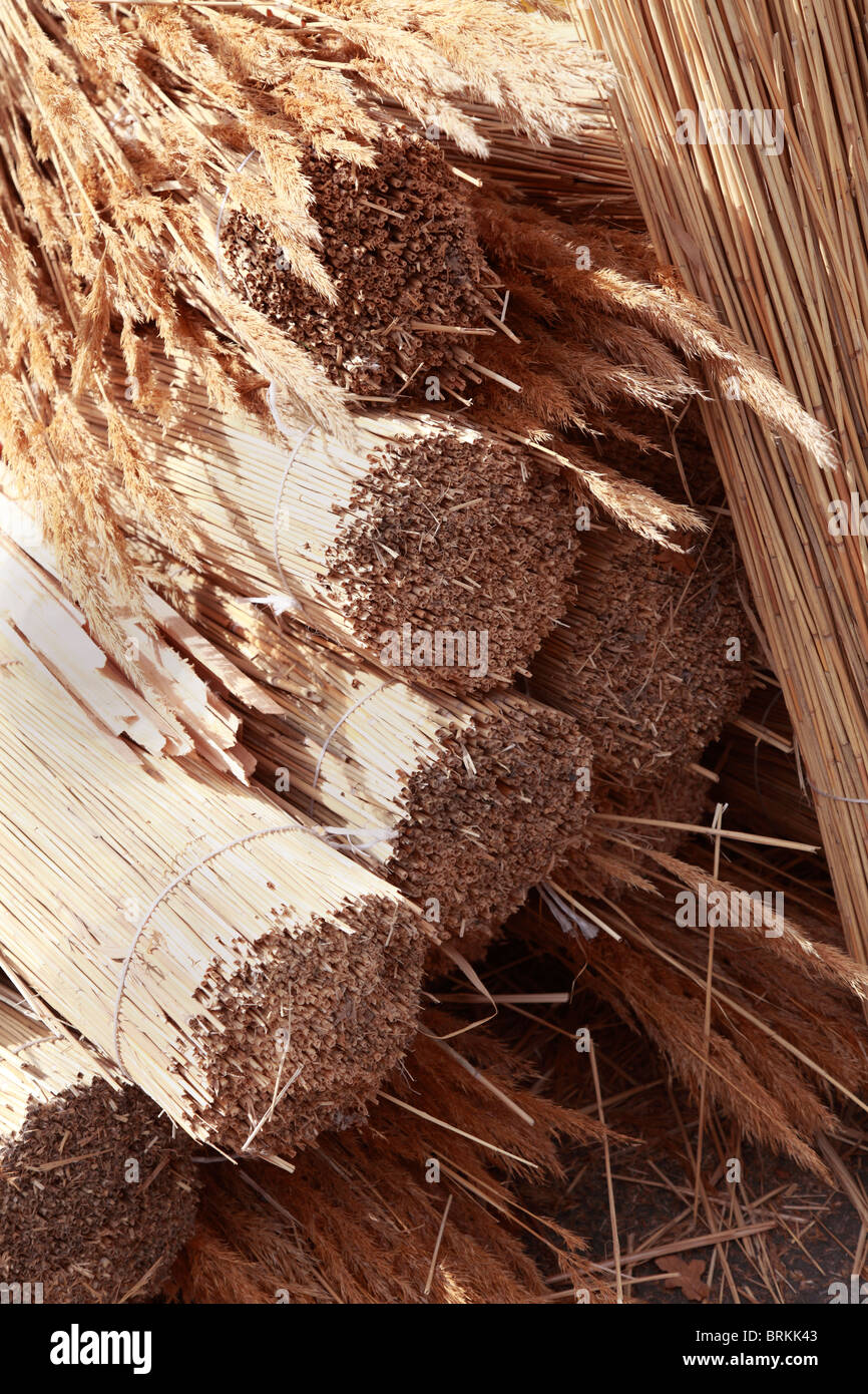 Thatch thatched thatching hi-res stock photography and images - Alamy