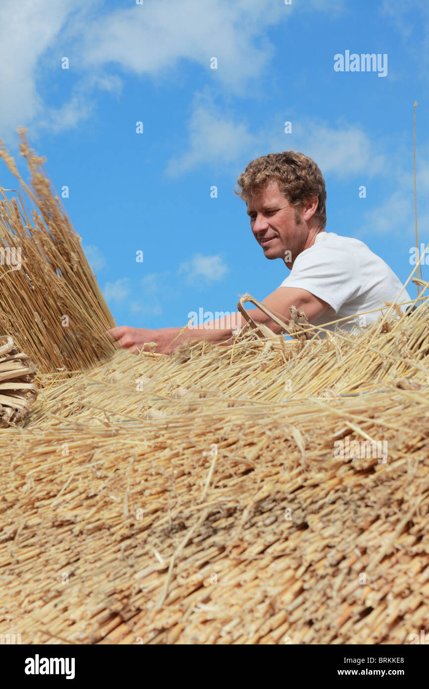 Thatching a roof, Dartmoor, Devon Stock Photo - Alamy