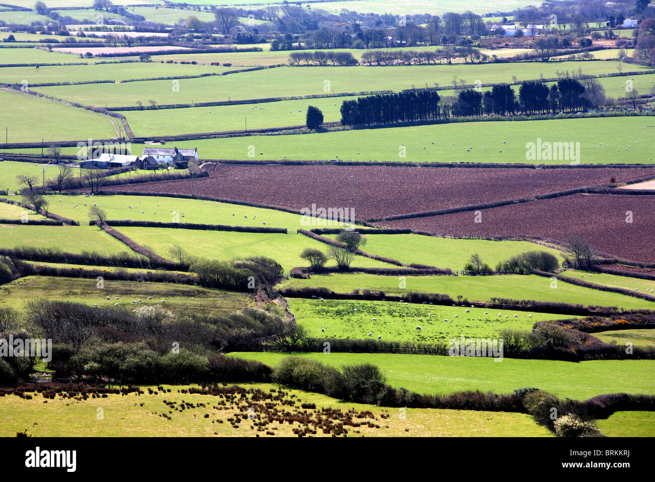 The View South from Llanmadoc Hill North Gower Peninsula City and ...