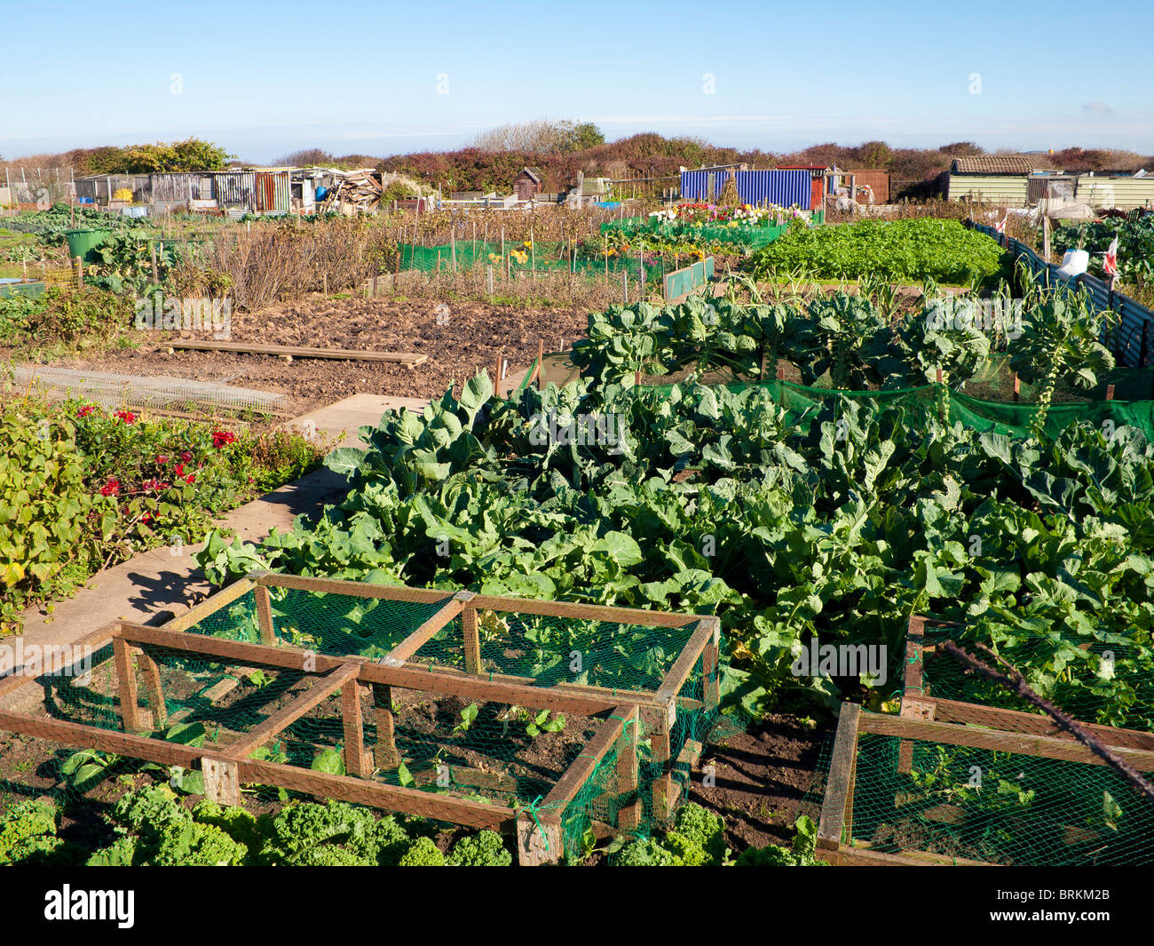 Well tended gardens hi-res stock photography and images - Alamy
