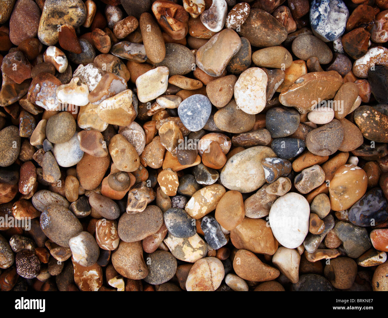 stone on a beach in england Stock Photo - Alamy