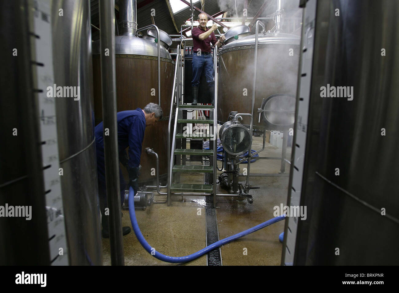 Robert Wicks director of Westerham Brewery Company mushing in the Malt ...