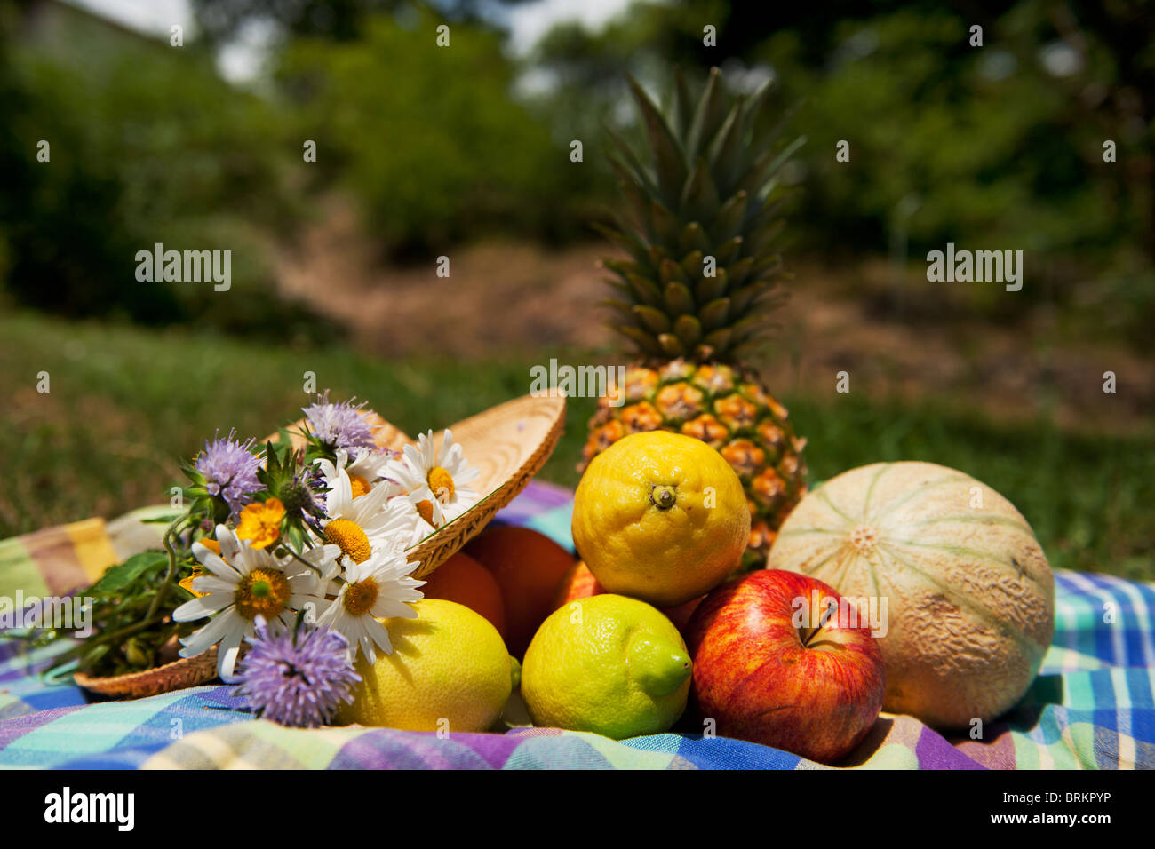 Fresh summer fruit outdoor in nature still life Stock Photo - Alamy