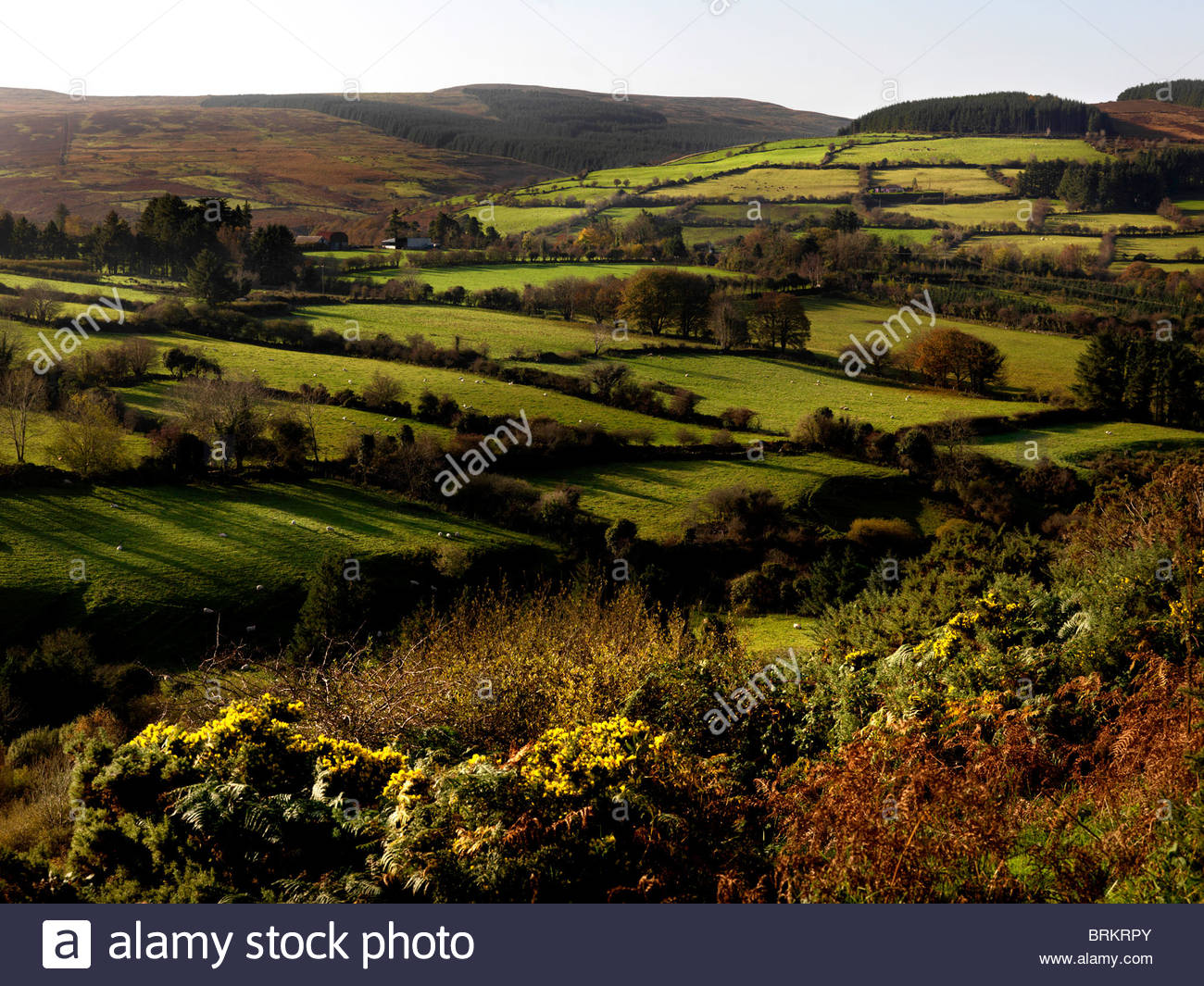 Nire Valley Stock Photos & Nire Valley Stock Images - Alamy