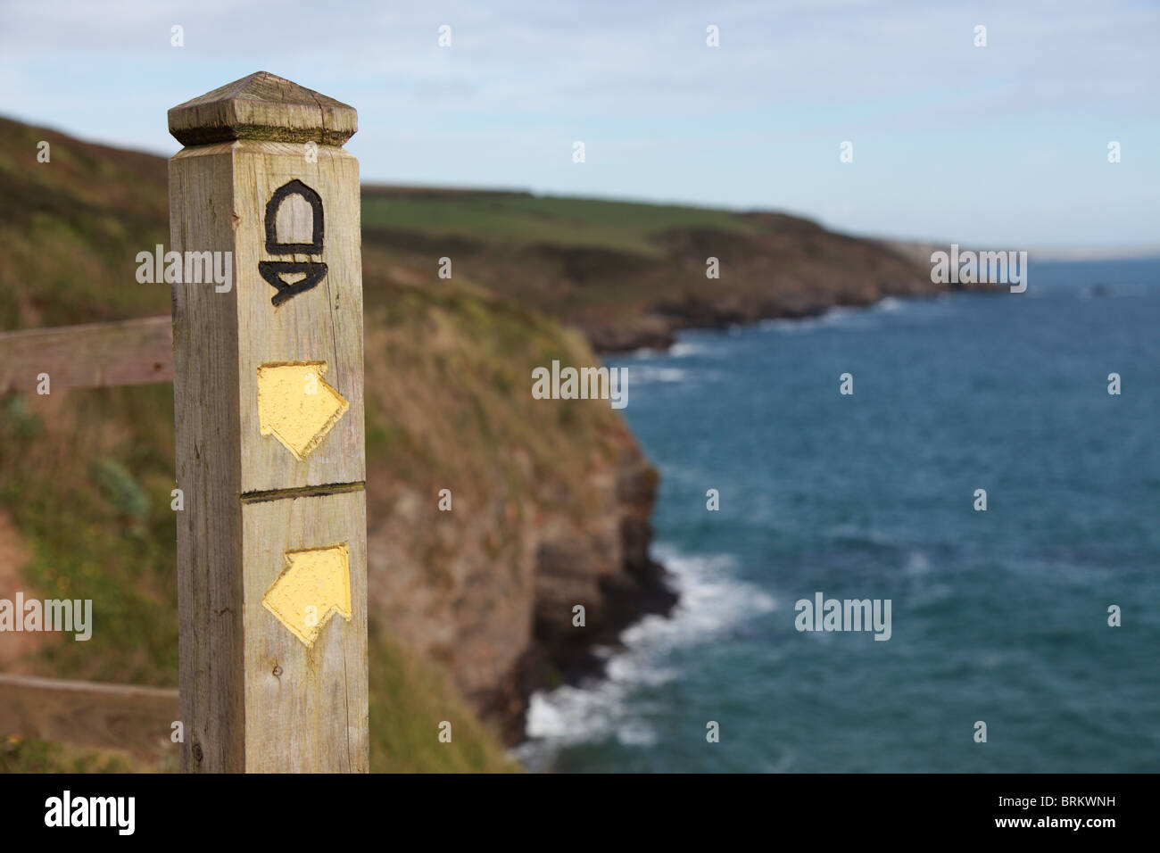 South West Coastal path, Cornwall Stock Photo - Alamy