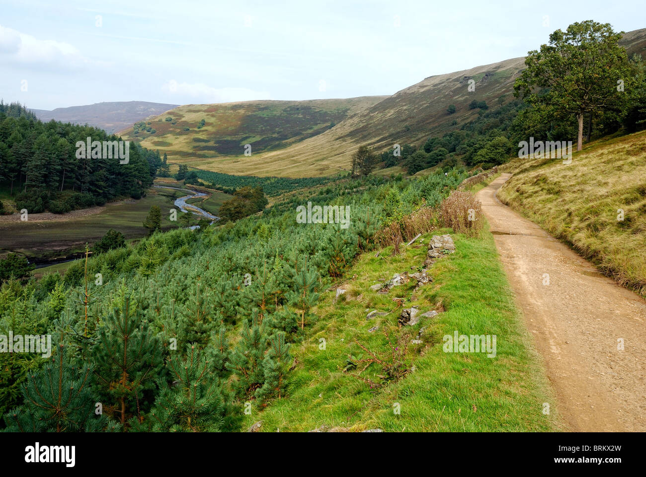 derwent valley derbyshire england uk Stock Photo - Alamy