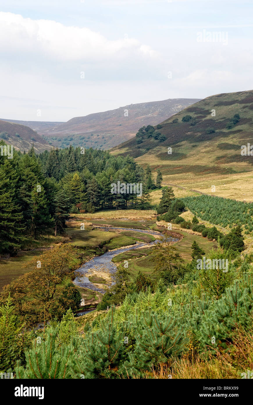 derwent valley derbyshire england uk Stock Photo - Alamy