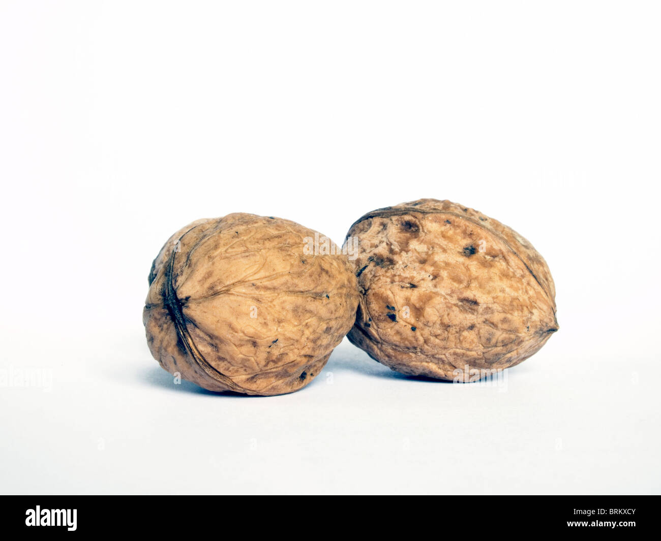 Walnuts in shell Stock Photo - Alamy